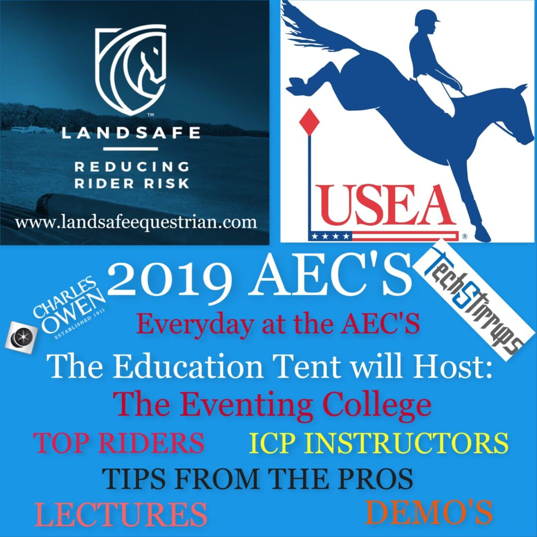 AEC FLYER - Landsafe